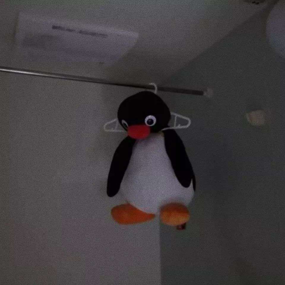 팀컬러 아가리티어